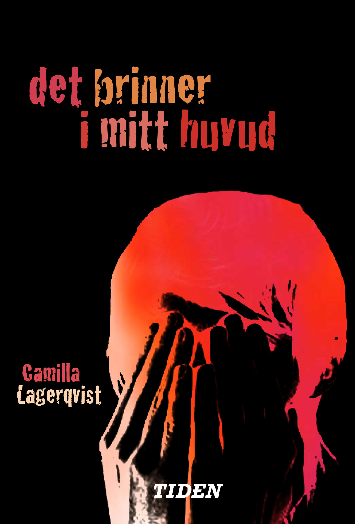 Det brinner i mitt huvud | Camilla Lagerqvist | Inbunden